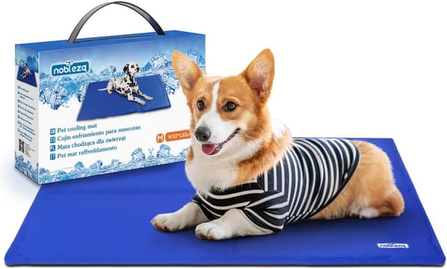 Best Dog Cooling Mat UK 2026 | Dog Product Reviews