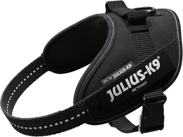 Best Small Dog Harness UK 2026 | Dog Product Reviews