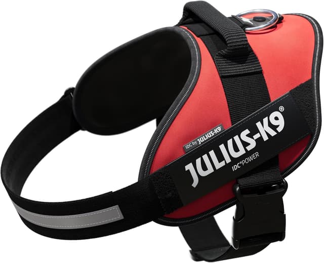 Best Dog Harnesses UK 2026 | Dog Product Reviews