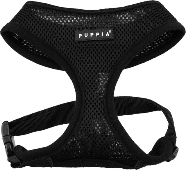 Best Small Dog Harness UK 2026 | Dog Product Reviews